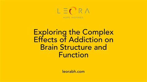 How Addiction Affects The Brain And How Recovery Helps It Heal