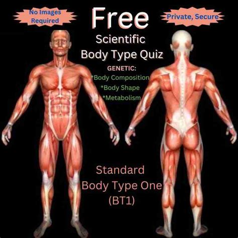 Scientific Body Type Quiz Free And Paid
