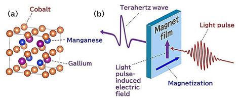 Generation Of Intense Terahertz Waves With A Magnetic Material