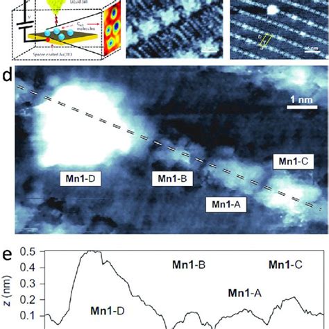 A Scheme Of STM For Characterizing A Self Assembled C Layer On Download Scientific Diagram