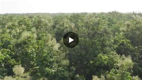 gujarat er prabhat singh