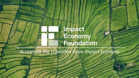 Impact Institute Launches The Impact Economy Foundation Impact Institute