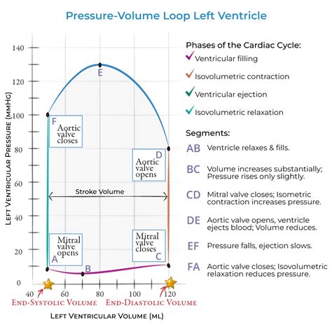Physiology Glossary Pressure Volume Loop In A Cardiac Cycle Ditki