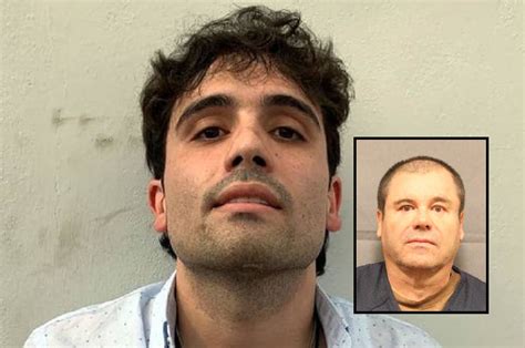 El Chapo Guzmán Filho De Traficante é Preso