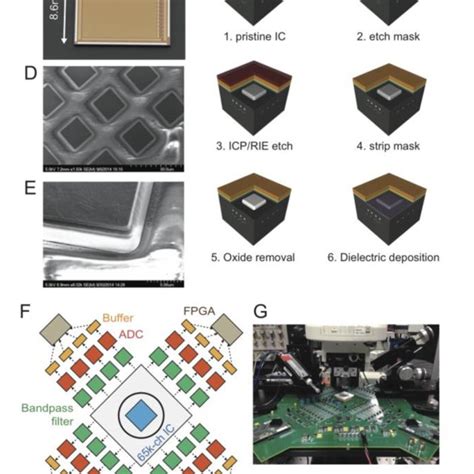 Multielectrode Array Mea For Large Scale High Density Investigations Download Scientific