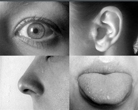 Multimodal Deep Learning Core Challenges By Andrew Medium