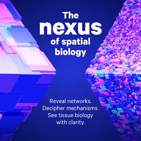 10x What Is The Nexus Of Spatial Biology Its The Critical Point Where Powerful Spatial