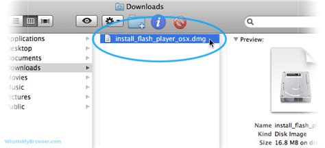 Install Flash On MacOS WhatIsMyBrowser Com