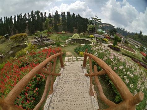 สวนดอกไม้เมืองหนาวเบตง