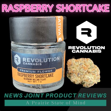 Review Raspberry Shortcake By Revolution Illinois News Joint
