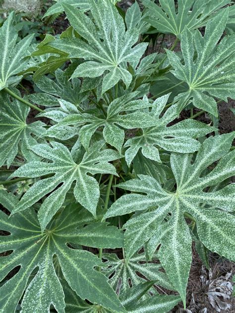 5 Ways To Unlock Your Gardens Growing Code Marianne Willburn