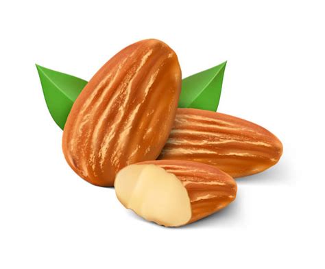 アーモンドミルク イラスト素材 Istock