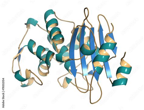 Beta Lactamase Enzyme From Staphylococcus Aureus Stock Illustration Adobe Stock