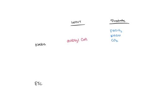 solved question 2 select the correct input reactants for the processes below glycolysis