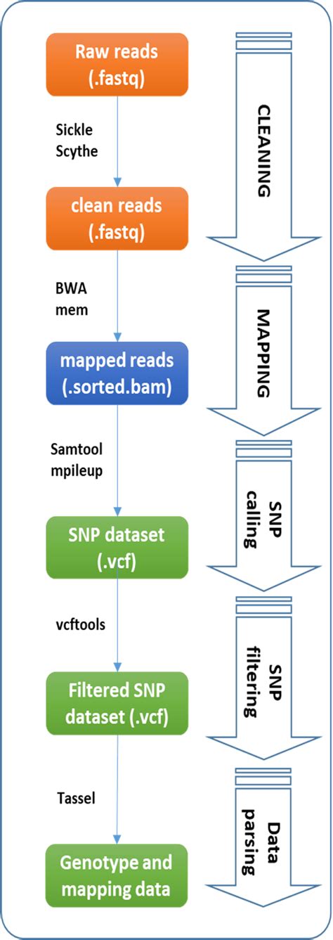Samtools Based Pipeline The Five Steps Of The Samtools Based Pipeline Download Scientific
