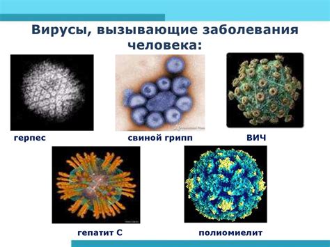 Неклеточные формы жизни Вирусы презентация онлайн