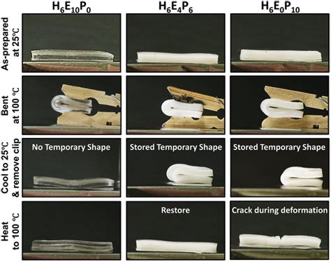 Shapememory Effect Of The Polymer Gels With Different Solvent Download Scientific Diagram