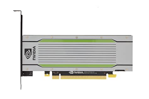 Dell Nvidia Tesla T4 16gb Graphics Accelerator Hckjm Buy Online
