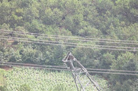 Rt Detr Classification Model By Wu