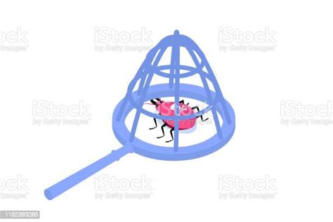 소프트웨어 또는 응용 프로그램 테스트 아이소메트릭 벡터 개념입니다 개발 프로세스 디버깅 벡터 일러스트입니다 컴퓨터 소프트웨어에