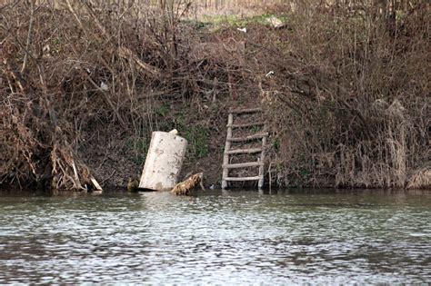 녹슨 금속 배럴 옆에 있는 즉흥적으로 나무 사다리는 조밀 하 게 말린 식물과 가지로 둘러싸인 지역 강 은행에 넣어 0명에 대한 스톡 사진 및 기타 이미지 Istock