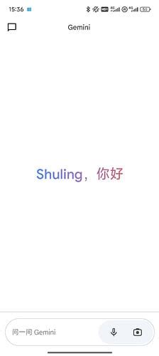 Gemini的最便宜的订阅的办法是什么？ 搞七捻三 Linux Do