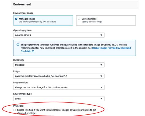 Docker Codebuild Failing When Running An Image From Ecr With Exit