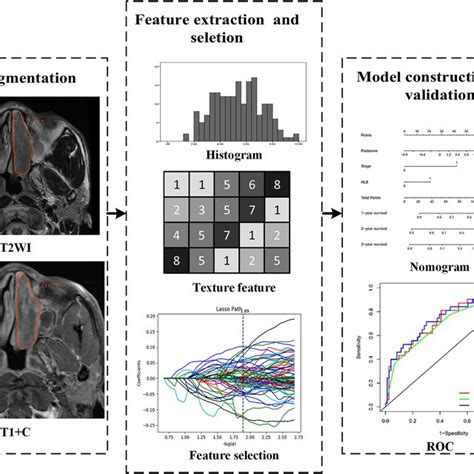 Flowchart Showing The Development Of The Models Download Scientific Diagram
