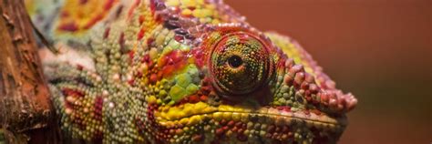 Typo3 Theme Sitepackage