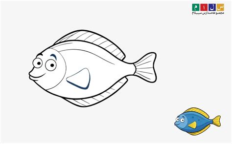 آموزش نقاشی ماهی ساده در 9 مرحله 10 ایده نقاشی ماهی ساده برای رنگ آمیزی