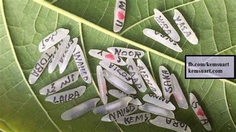 How To Write Name On Rice Grain Youtube