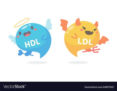Hdl And Ldl Cholesterol Cartoon Good Fat And Bad Vector Image