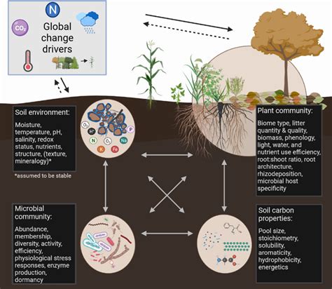 A Conceptual Illustration Of Interacting Components Demonstrating How Download Scientific
