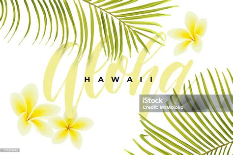 녹색 야자수 잎 플루메리아 꽃 파인애플과 손으로 그린 알로하 비문과 열대 벡터 디자인 여름 하와이 일러스트 0명에 대한 스톡