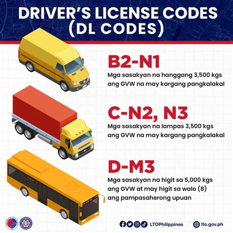Lto Dl Codes Explained What They Mean And Why They Matter