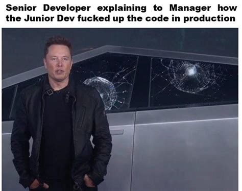 Must Be The Junior Dev R ProgrammerHumor