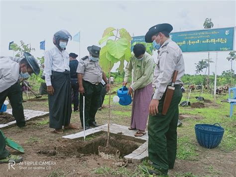 ၂၀၂၁ ခုနှစ် မိုးရာသီ သစ်ပင်စိုက်ပျိုးပွဲတော် ကိုဗစ် ၁၉ စည်းကမ်းချက်နှင့်အညီ ဒိုက်ဦးမြို့နယ်၌ က