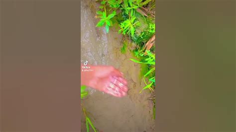 𝙛𝙞𝙖𝙯 𝘼𝙡𝙞 𝙟𝙚332 Youtube