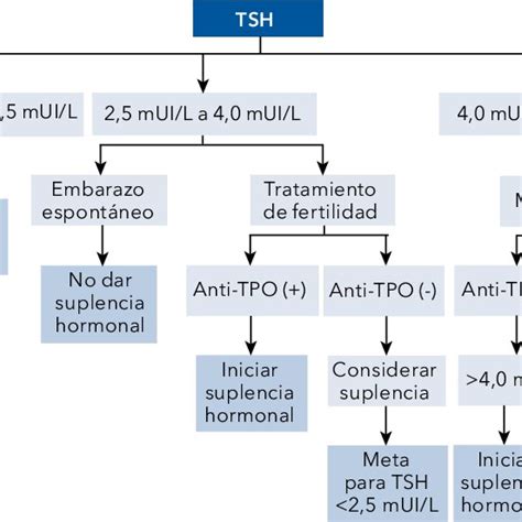 Algoritmo De Tratamiento Del Hipotiroidismo En El Embarazo Anti Tpo Download Scientific