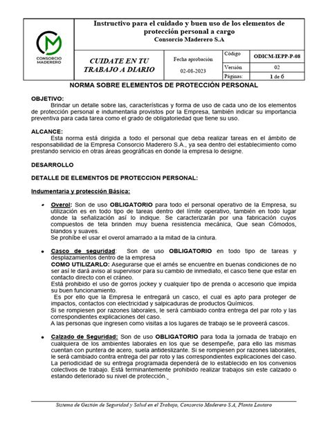 Odicm Iepp P 08 Norma Para Elementos De Proteccion Personal Descargar