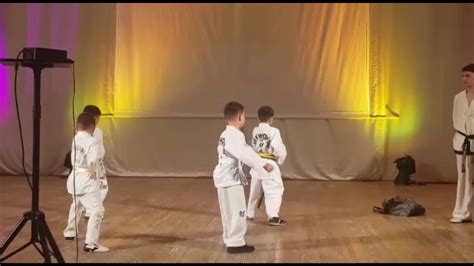 Выступление на благотворительном фестивале Youtube