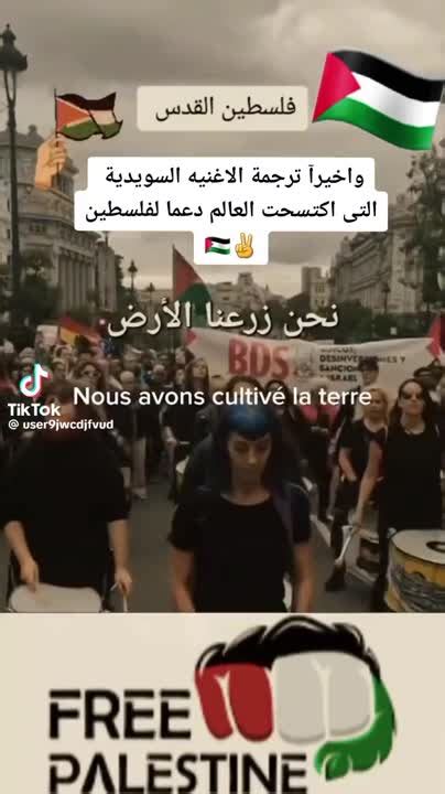 [video] Nader Fahmy El Sharnoby On Linkedin Sweedish Song Supports Palastine