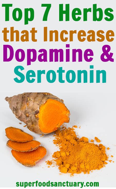 Top 7 Herbs To Increase Dopamine And Serotonin Superfood Sanctuary