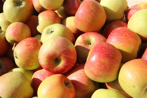 An Interview With Css Creator Håkon Wium Lie Hackernoon