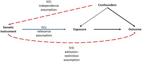 The Three Core Assumptions Of Mendelian Randomization Red Dashed Download Scientific Diagram