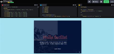 17 CSS Reveal Animation Code Examples WebTopic