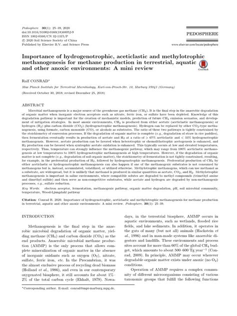 3 Jenis Metanogenesis Pdf Chemical Substances Environmental Science