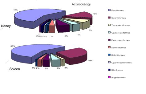 Ration And Classification Of All Ests Clones Based On Orders Of Class