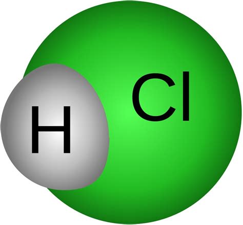 24 Interesting Facts About Hcl Worlds Facts