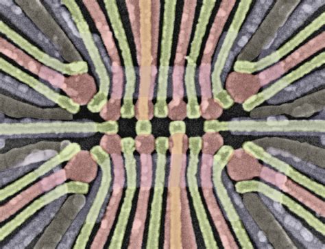 Researchers Demonstrate Universal Control Of A Quantum Dot Based System With Four Singlet